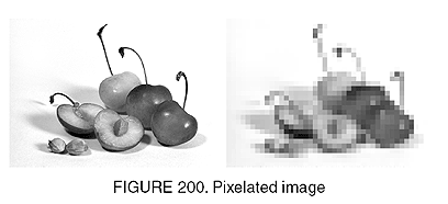 pixelate, pixelize - Barrons Dictionary - AllBusiness.com