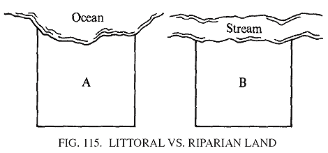 Littoral Definition Littoral Zone Wikipedia